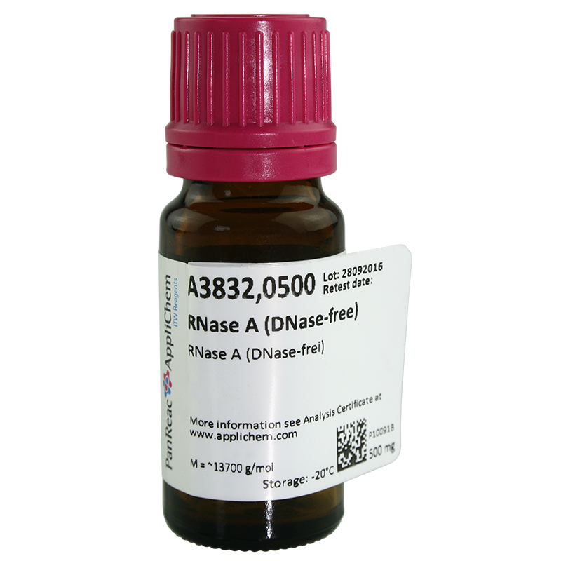 RNase A (DNase-free)